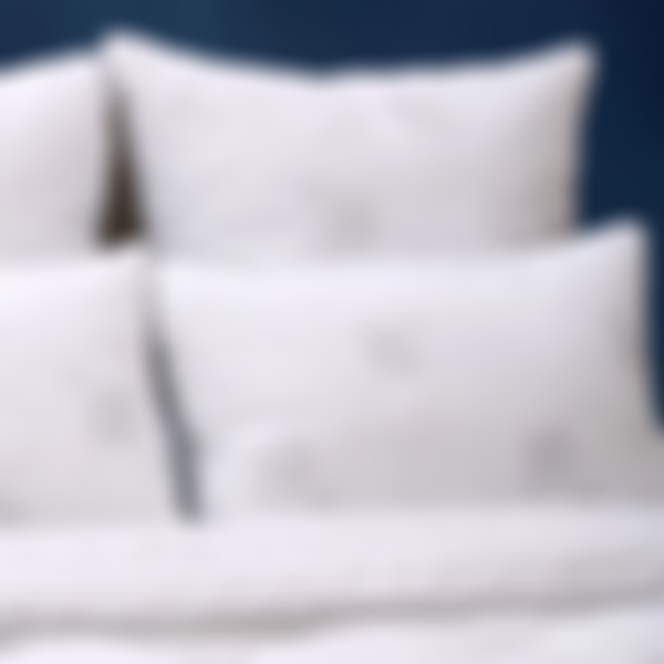 Подушка Василиса Comfy Line, лебяжий пух, глосс-сатин, 70х70см - купить ...